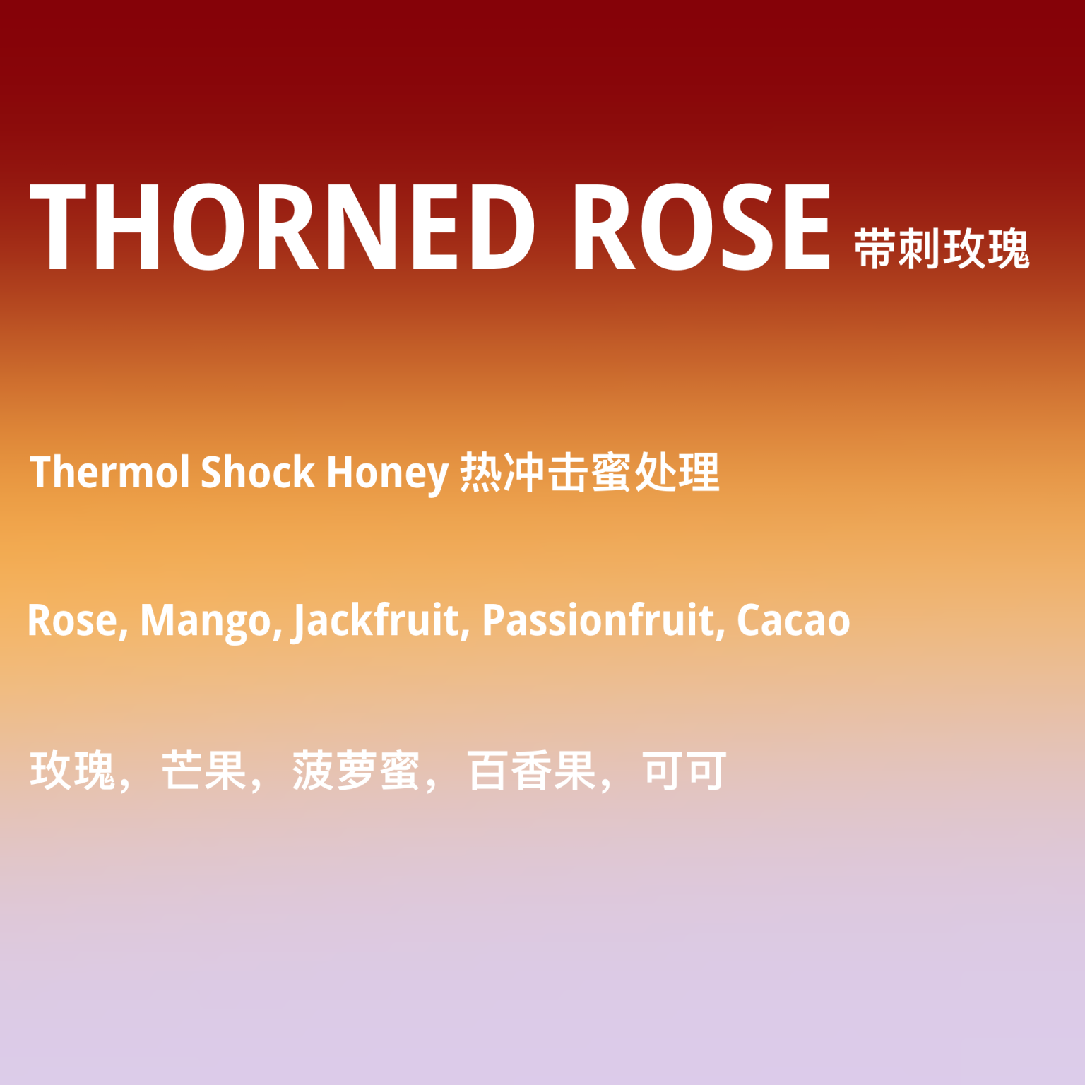 Costa Rica Tarrazu Thorned Rose – Wells Cafe